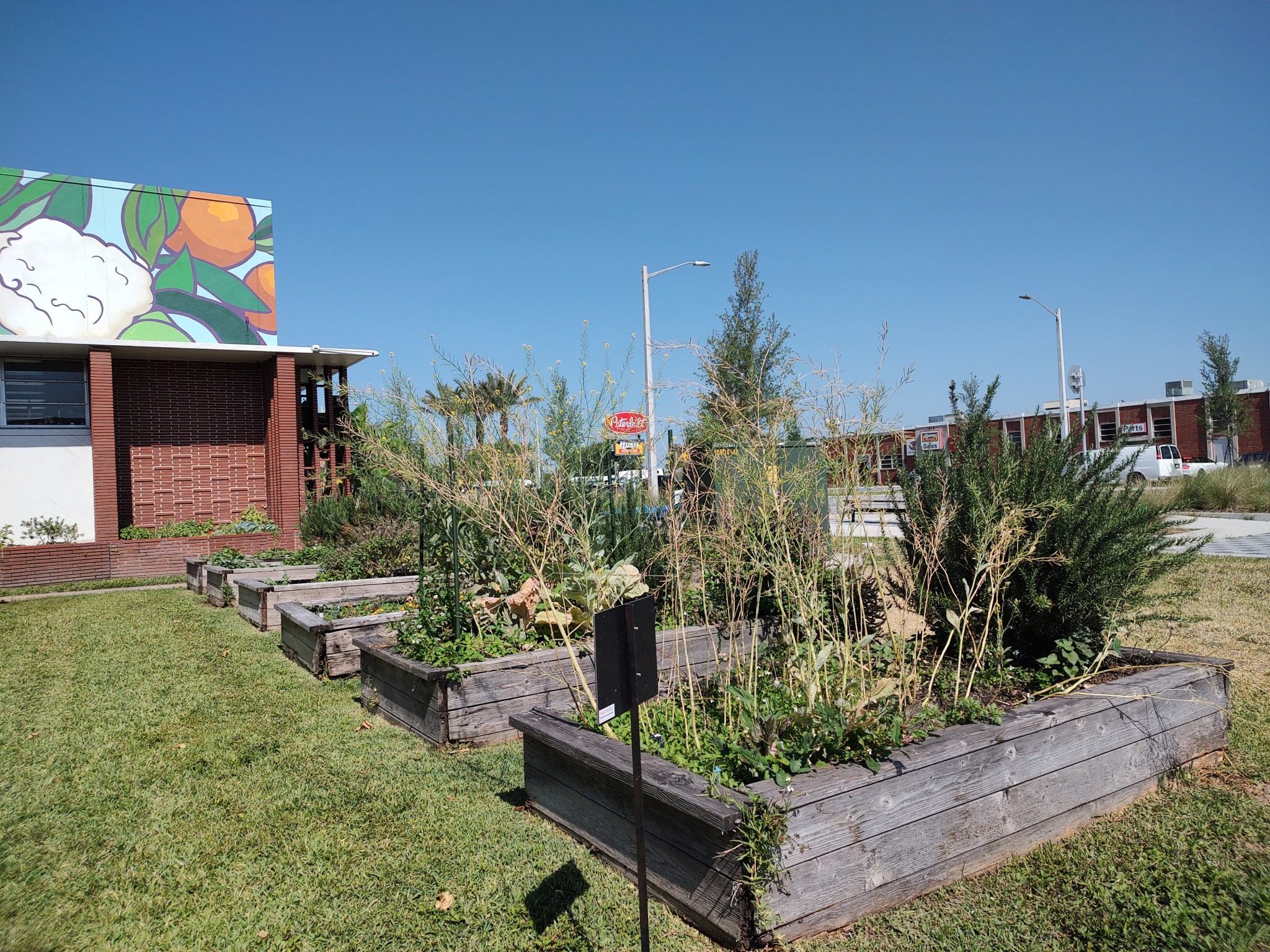 Our Tour of 4Roots Farm Development Site – Angle & Perspective