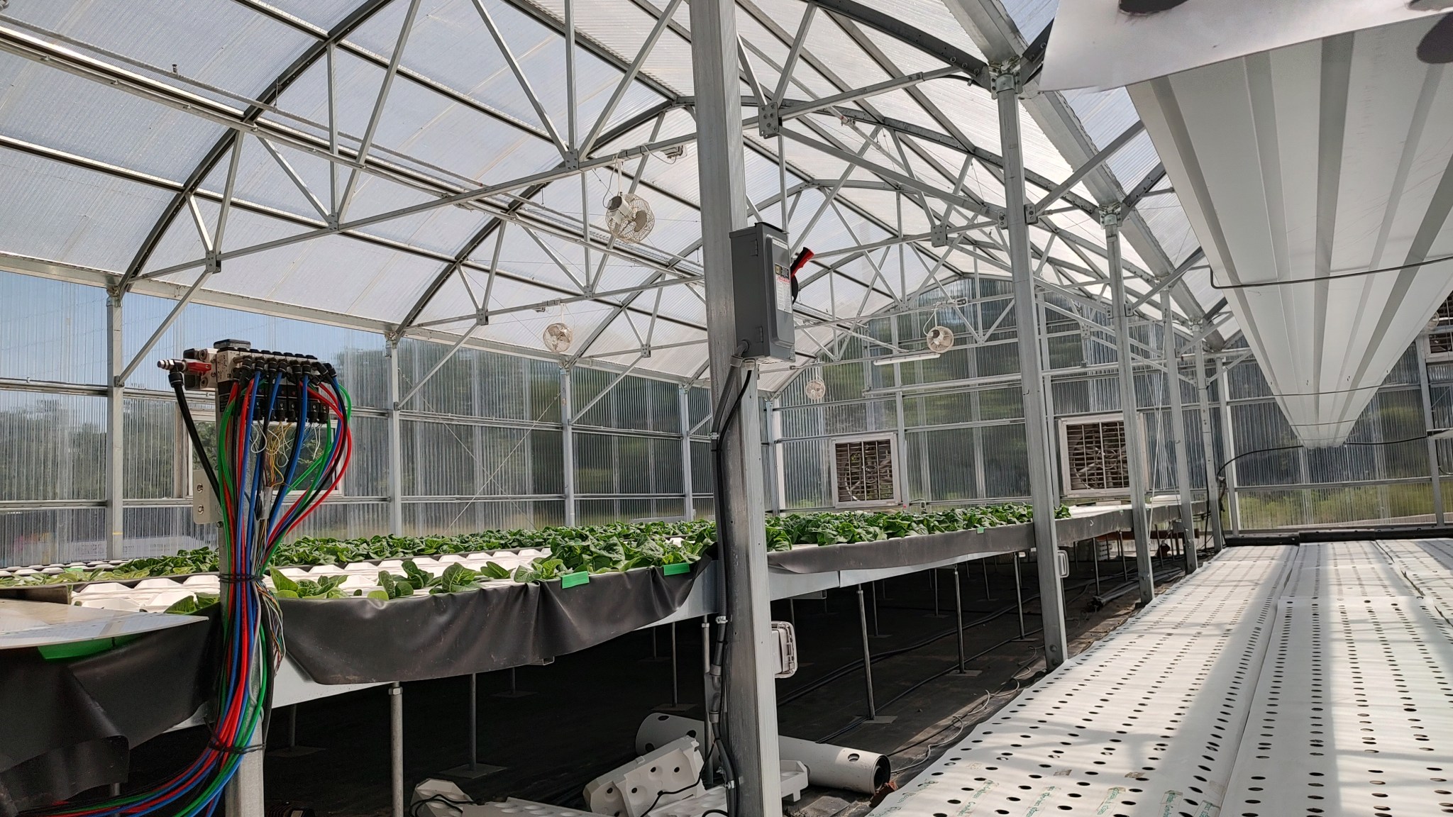 Our Tour of 4Roots Farm Development Site – Angle & Perspective