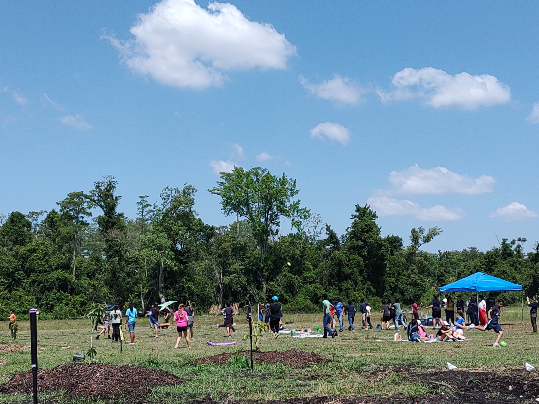 Our Tour of 4Roots Farm Development Site – Angle & Perspective